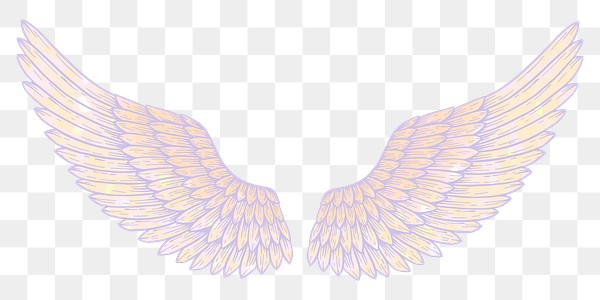 Creamy angel wings sticker overlay | Premium PNG Sticker - rawpixel