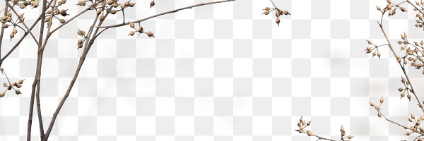 Png dry branch border transparent | Premium PNG - rawpixel