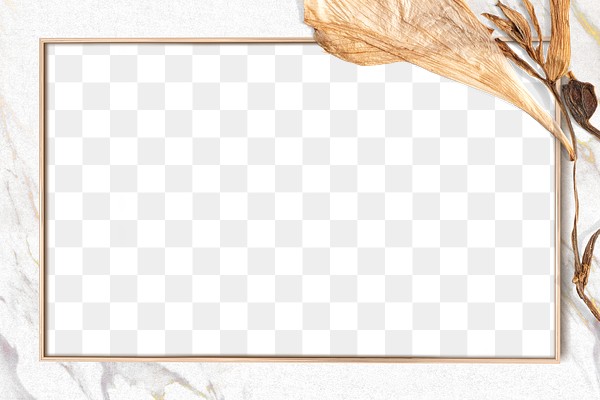 Earth tone floral frame png | Premium PNG - rawpixel