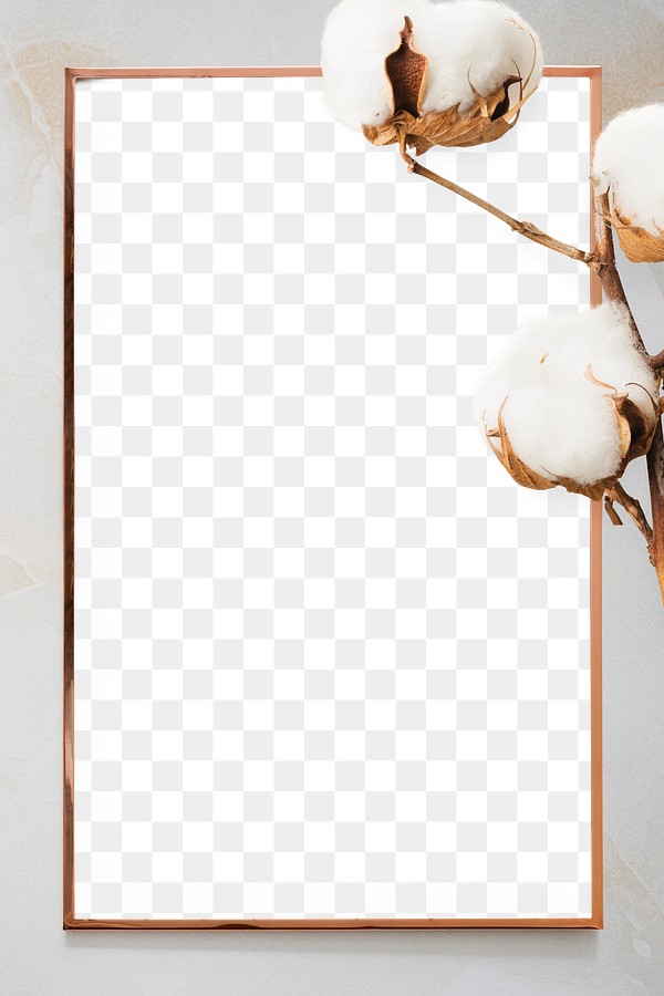 PNG cotton flower natural frame | Free PNG - rawpixel