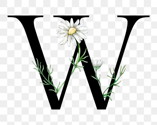 Png alphabet w sticker font | Premium PNG Sticker - rawpixel