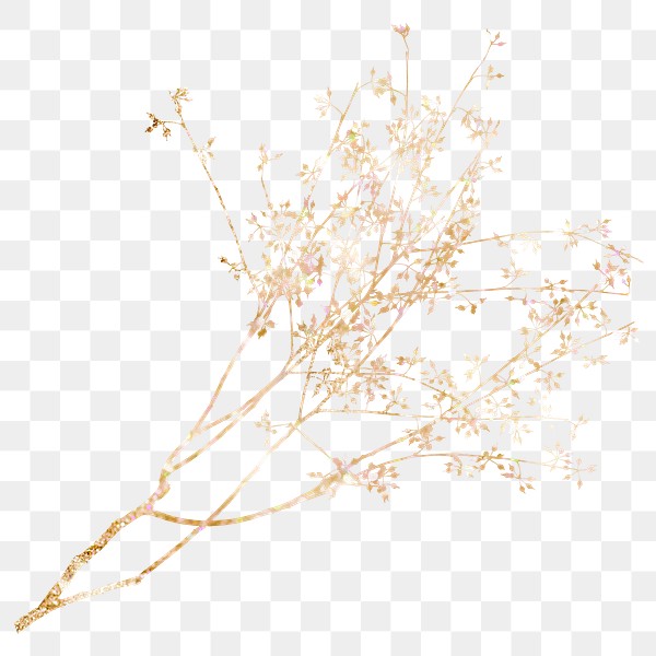 Luxury glittery botanical sticker png | Premium PNG Sticker - rawpixel