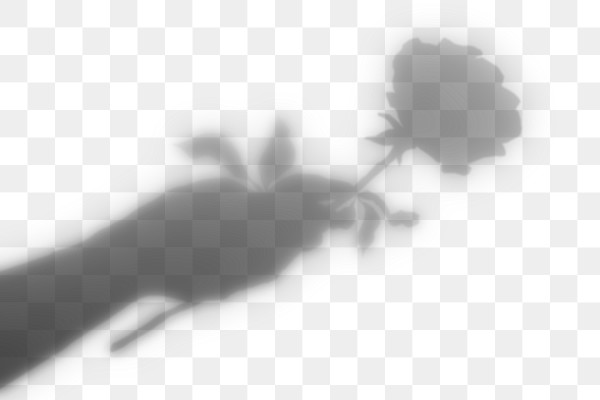 PNG rose hand shadow design | Premium PNG - rawpixel