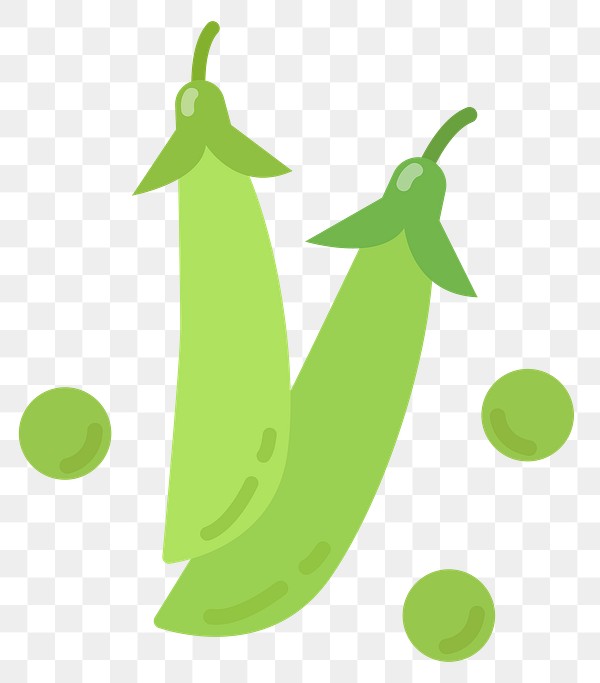 Png colorful green bean vegetable | Free PNG Sticker - rawpixel