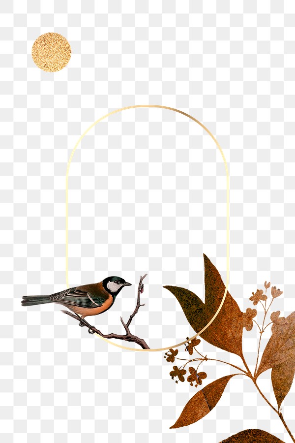 Blank golden floral frame bird | Premium PNG - rawpixel