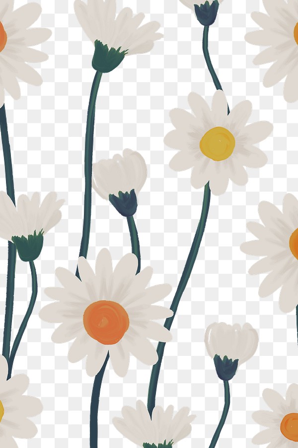 Hand drawn daisy pattern transparent | Premium PNG - rawpixel