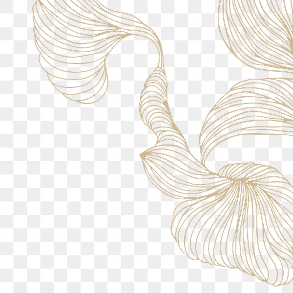 Beige swirly line frame design | Premium PNG - rawpixel