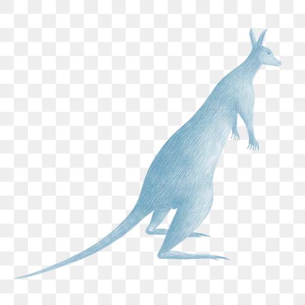 Blue kangaroo vintage illustration transparent | Premium PNG Sticker ...