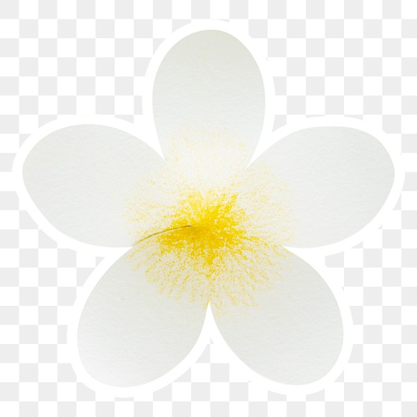 Jasmine sticker paper craft png | Premium PNG Sticker - rawpixel
