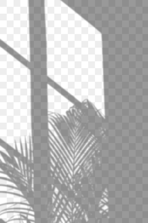 Window Shadow PNG Images | Free PNG Vector Graphics, Effects ...