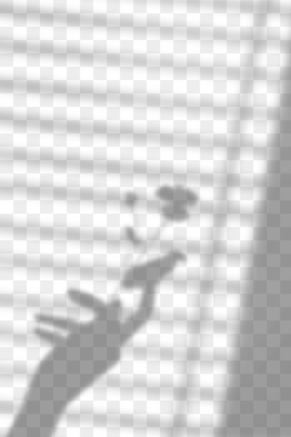 Window Shadow PNG Images | Free PNG Vector Graphics, Effects ...