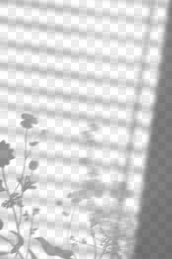 Window Shadow PNG Images | Free PNG Vector Graphics, Effects ...