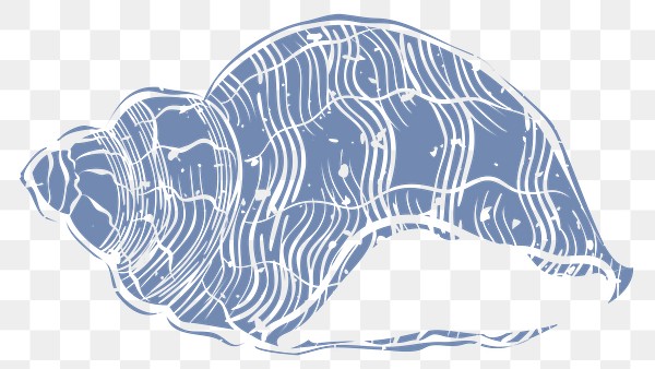 Png blue seashell printmaking transparent | Free stock illustration ...