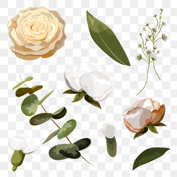 Flower PNG Images | Free PNG Vector Graphics, Effects & Backgrounds ...