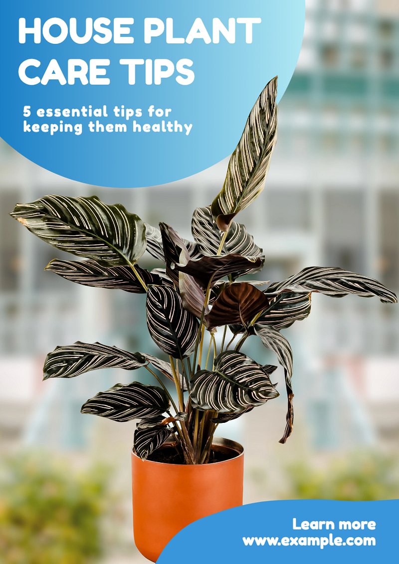 Houseplant care tips poster template, | Premium Editable Template ...