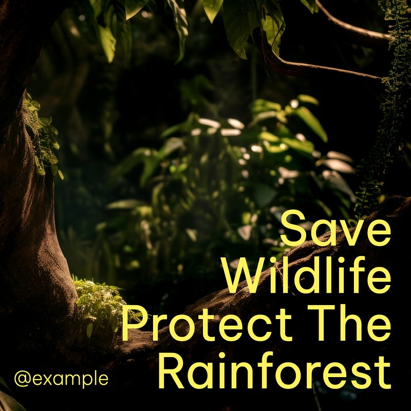 Rainforest poster template | Premium Editable Template - rawpixel