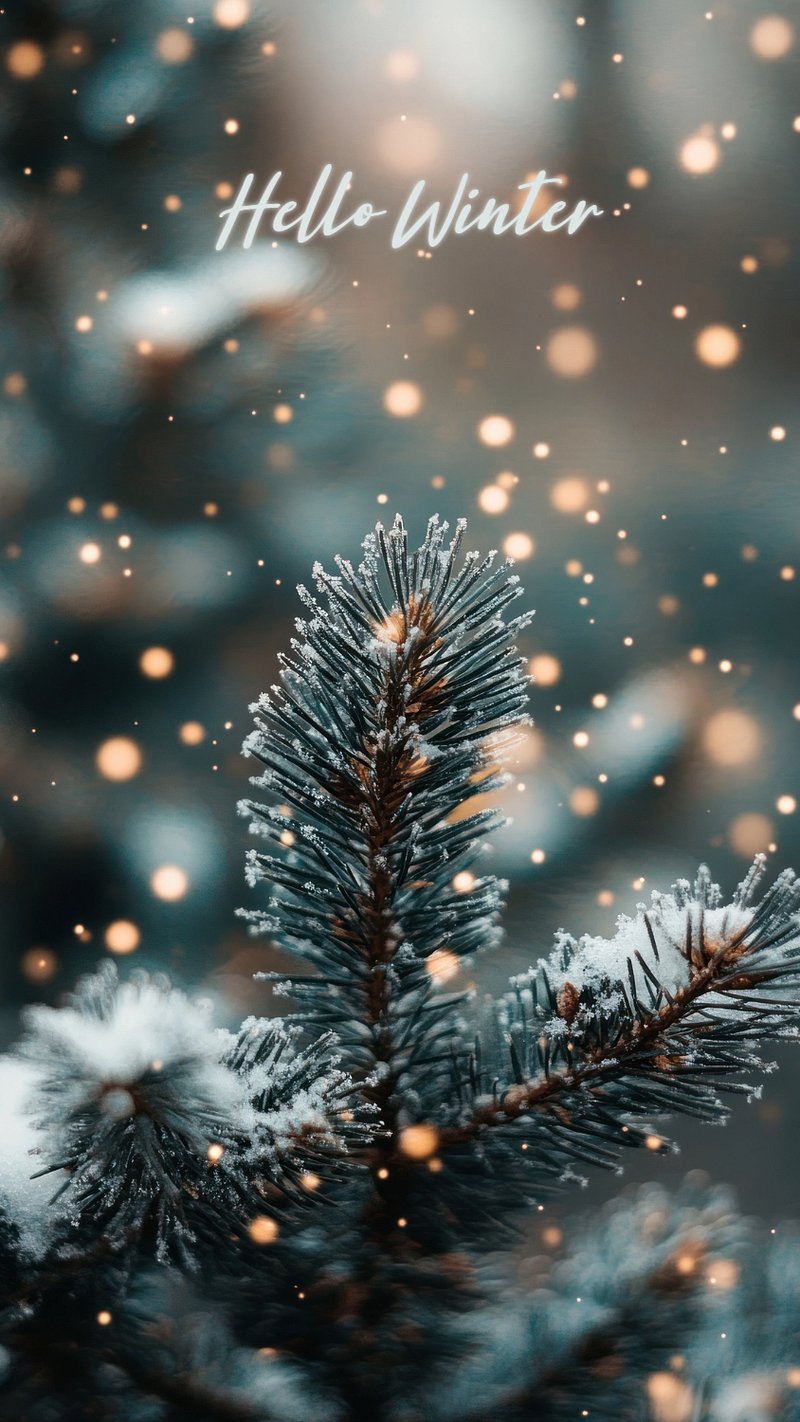 Pine Tree Christmas Design Decoration Plant Templates | Download Free ...