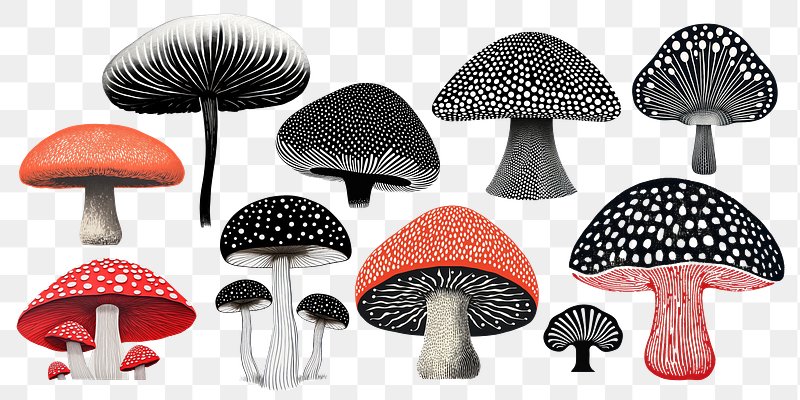 Psychedelic pointillism illustration mushroom png | Premium PNG - rawpixel