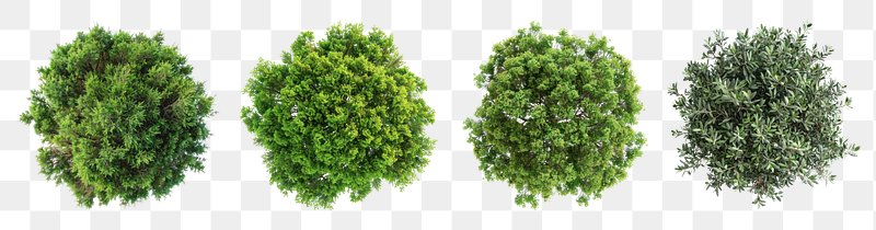 Tree top view element set | Premium Photo - rawpixel