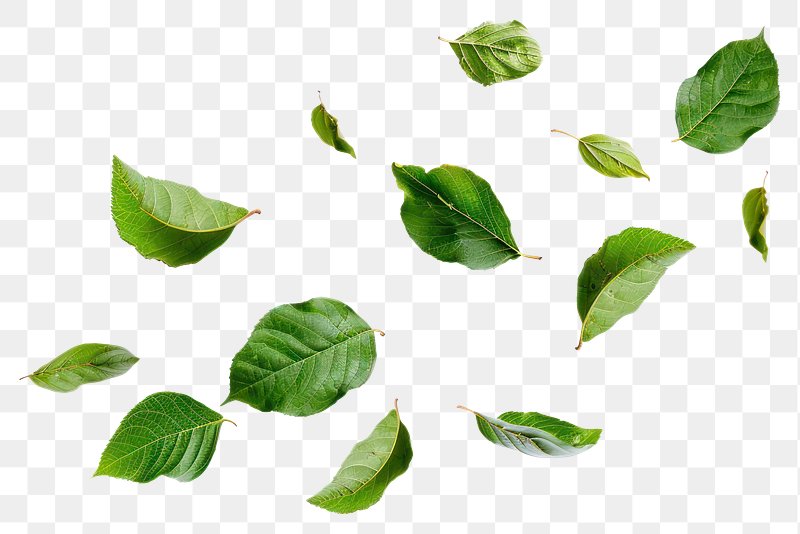 Wind Effect PNG Images | Free Photos, PNG Stickers, Wallpapers ...