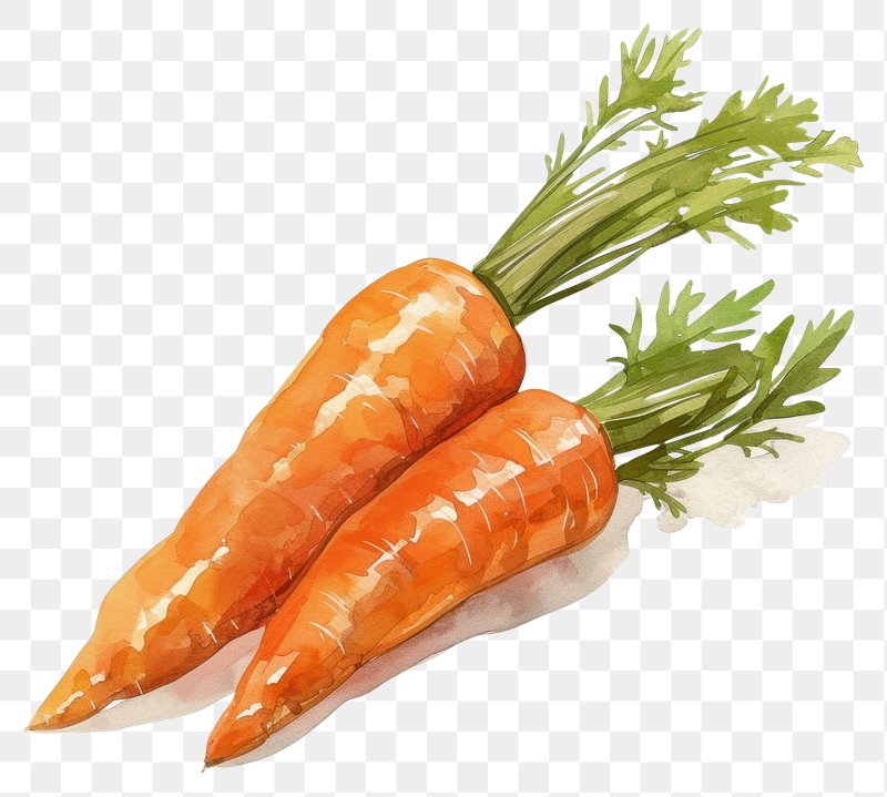 Carrot Transparent PNG Images | Free Photos, PNG Stickers, Wallpapers ...