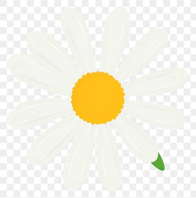 Daisy Vector PNG Images | Free Photos, PNG Stickers, Wallpapers ...