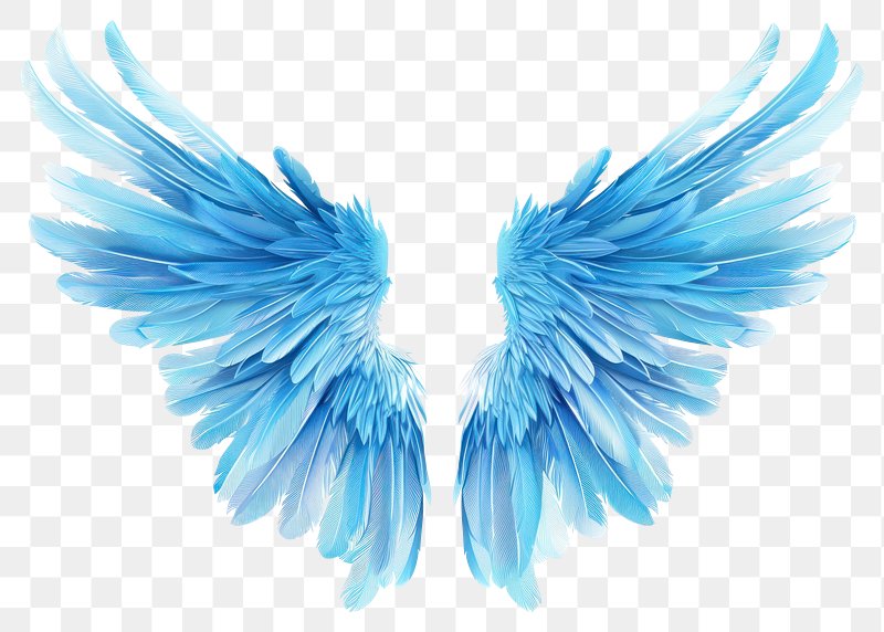 Angel Transparent Images | Free Photos, PNG Stickers, Wallpapers ...