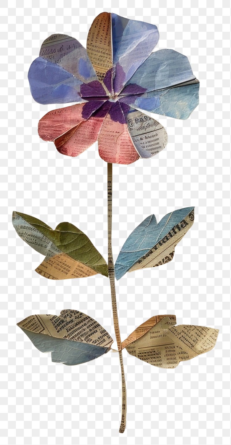 Upcycle Images | Free Photos, PNG Stickers, Wallpapers & Backgrounds ...