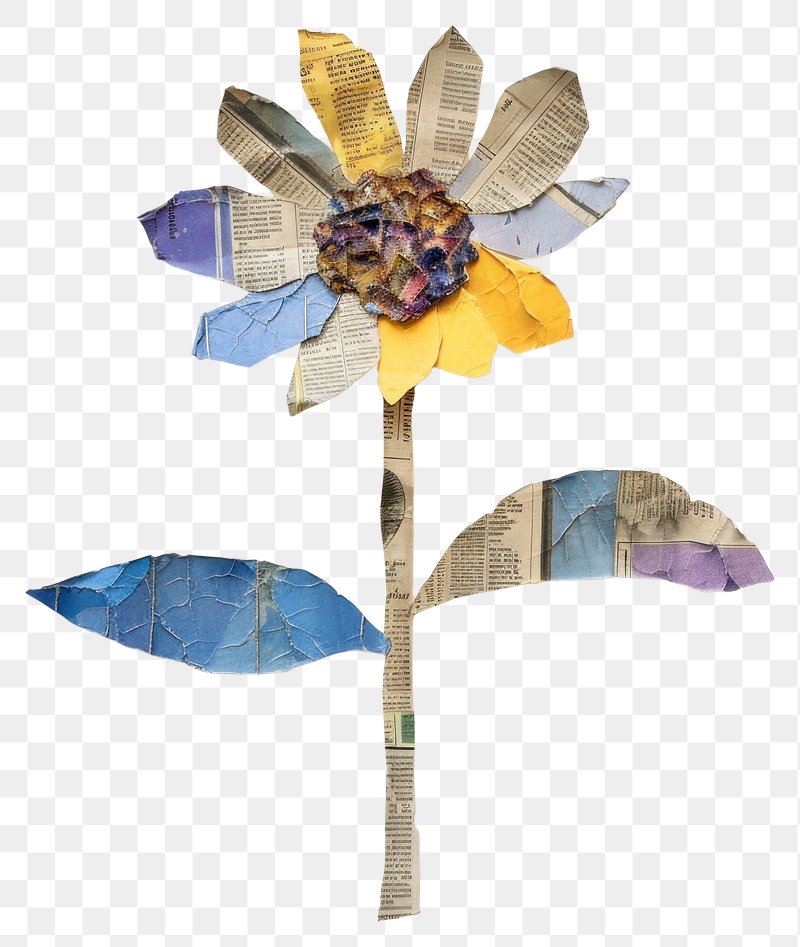 Upcycle Images | Free Photos, PNG Stickers, Wallpapers & Backgrounds ...