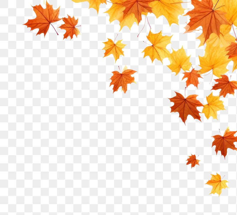 Transparent Fall Border Images | Free Photos, PNG Stickers, Wallpapers ...