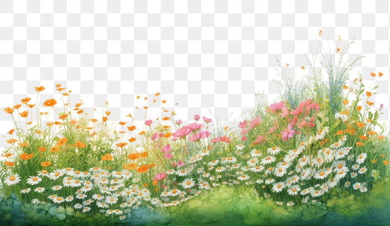 Meadow Flower PNG Images | Free Photos, PNG Stickers, Wallpapers ...