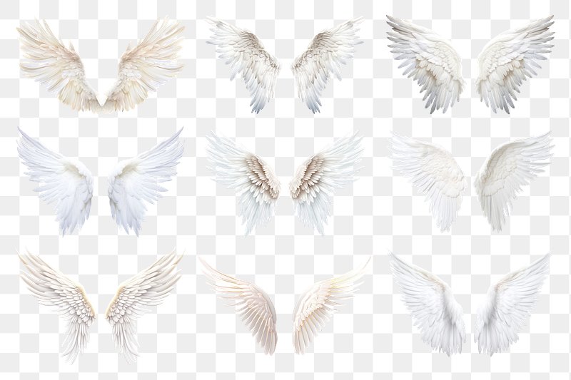 Angel Wings Sticker PNG Images | Free Photos, PNG Stickers, Wallpapers ...