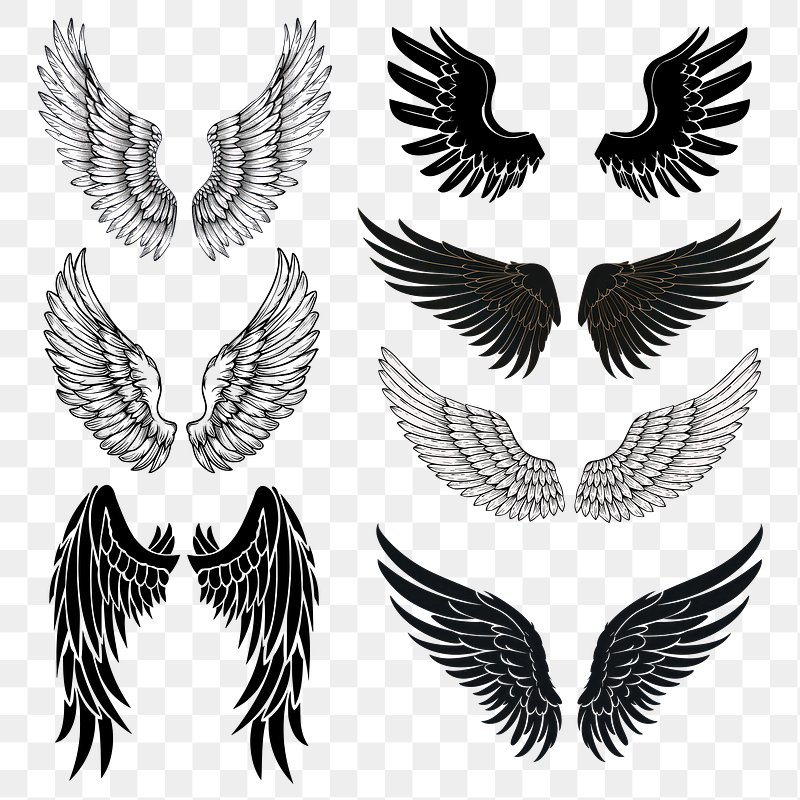 Angel Wings Sticker PNG Images | Free Photos, PNG Stickers, Wallpapers ...