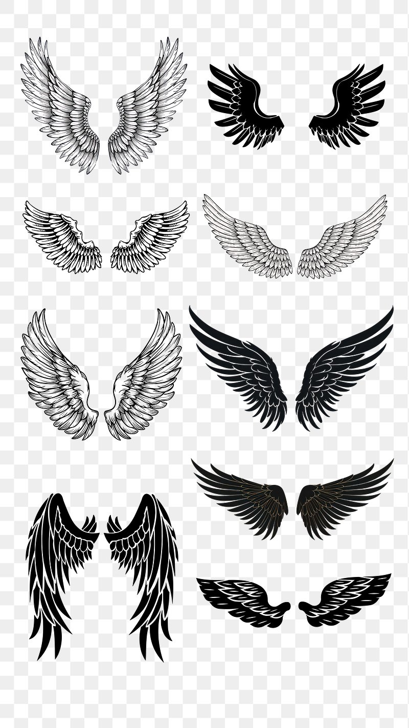 Angel Wings Sticker PNG Images | Free Photos, PNG Stickers, Wallpapers ...