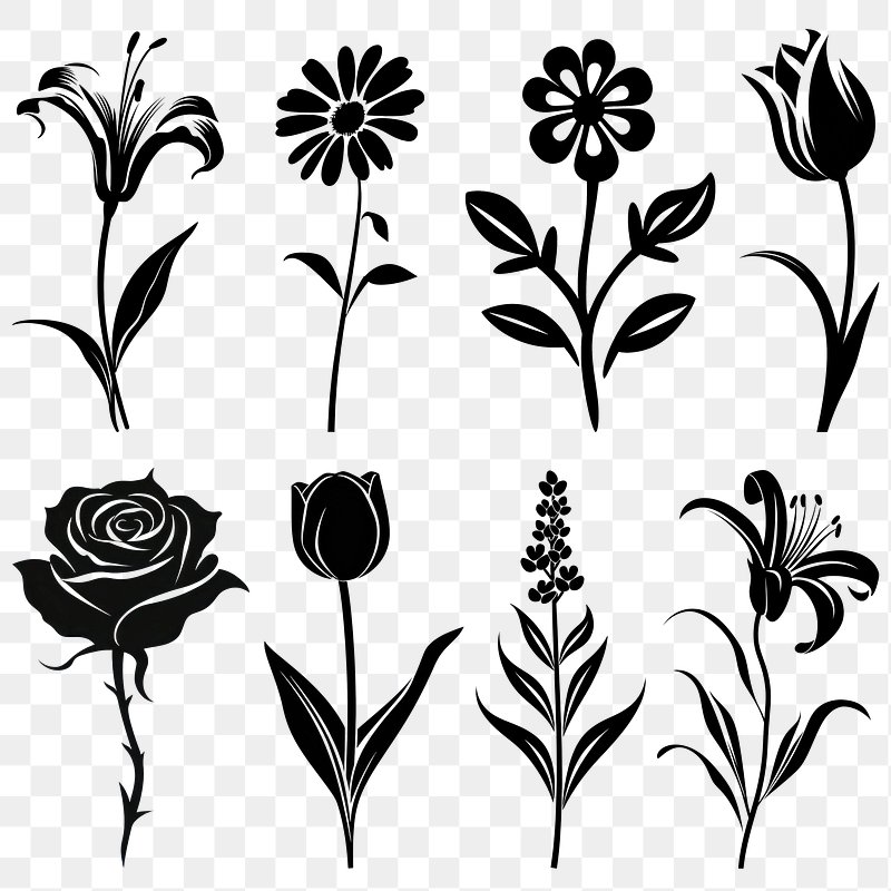 Floral Outline Design PNG Images | Free Photos, PNG Stickers ...