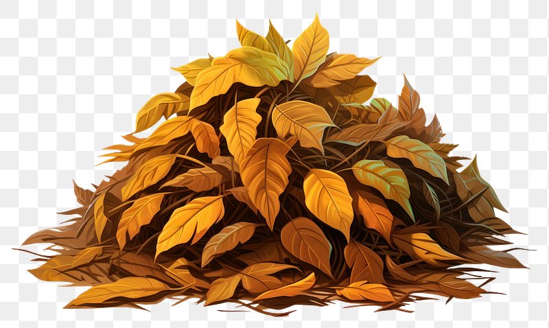 Tobacco Plant Images | Free Photos, PNG Stickers, Wallpapers ...