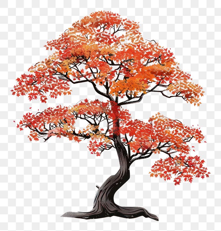 Japanese Tree PNG Images | Free Photos, PNG Stickers, Wallpapers ...