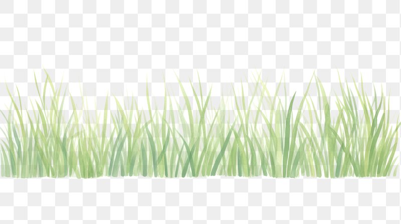 Water Divider PNG Images | Free Photos, PNG Stickers, Wallpapers ...