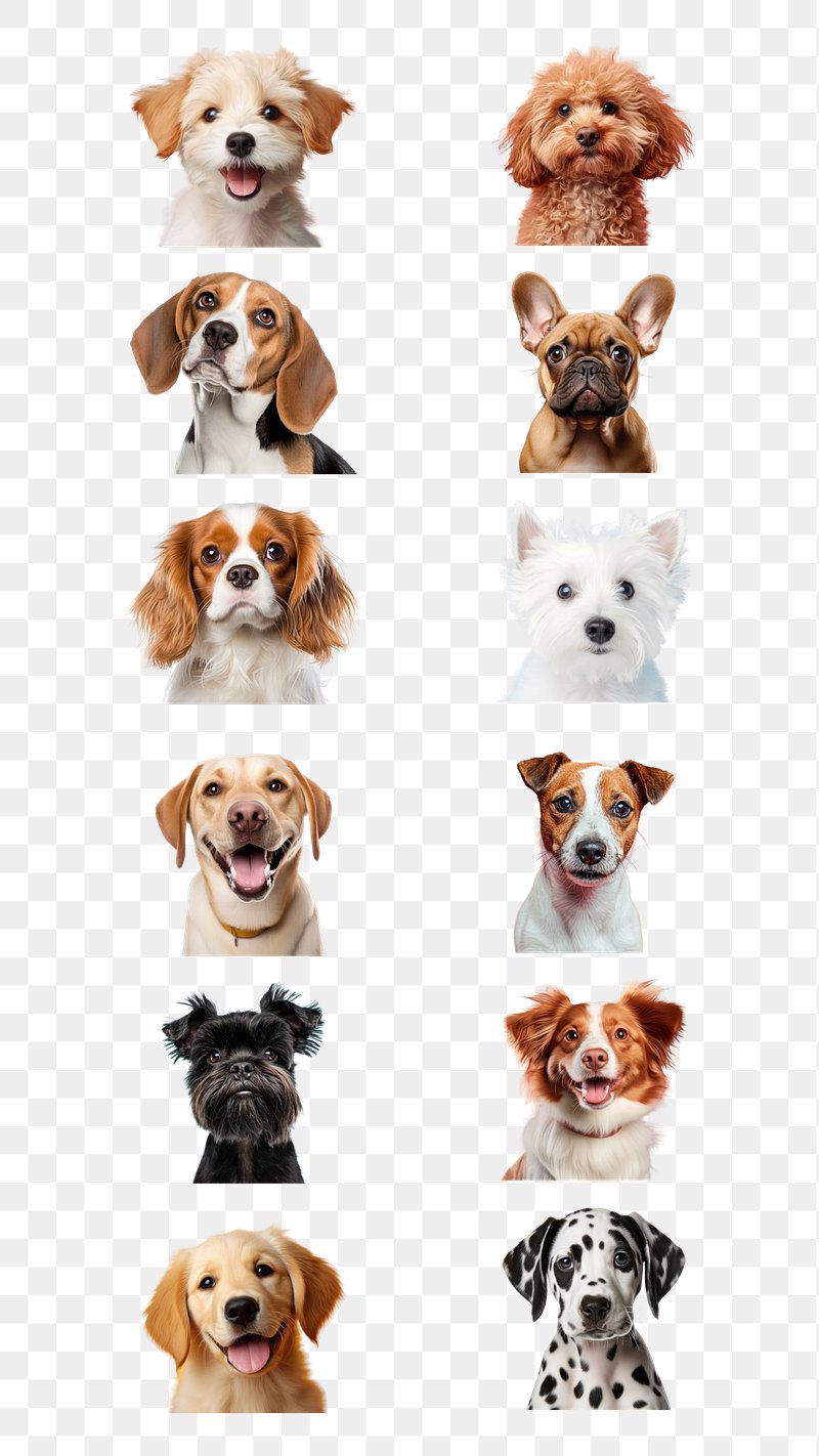 Animal Companions Images | Free Photos, PNG Stickers, Wallpapers ...