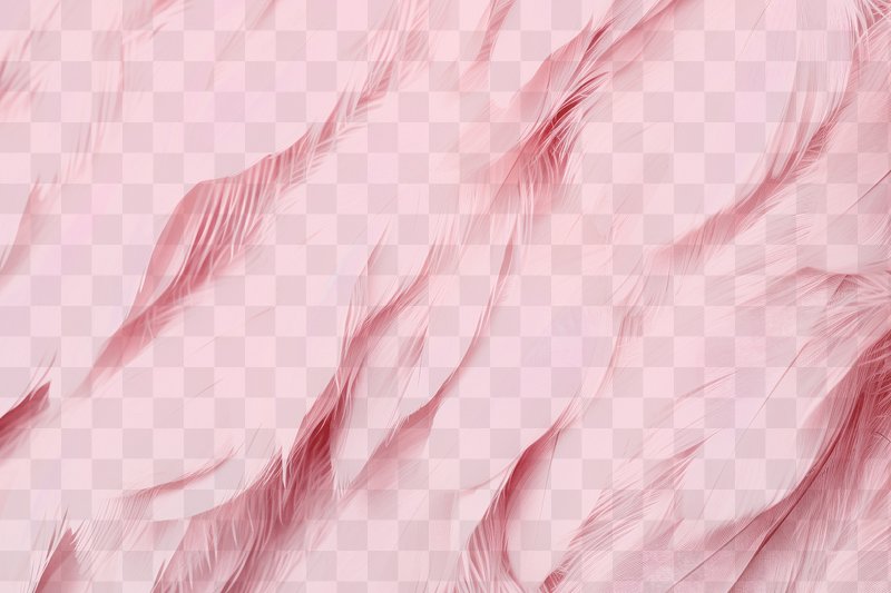Transparent Feather Texture Images | Free Photos, PNG Stickers ...
