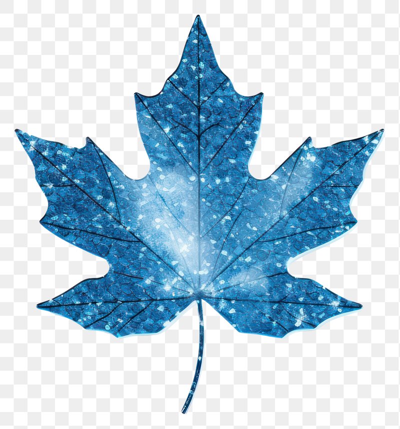 PNG Blue Maple leaf icon | Free PNG - rawpixel