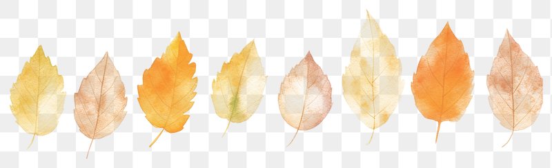 Autumn Leaves As Divider Watercolor Images | Free Photos, PNG Stickers ...