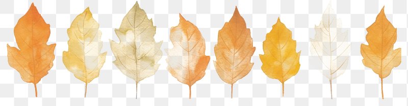 Autumn Leaves As Divider Watercolor Images | Free Photos, PNG Stickers ...