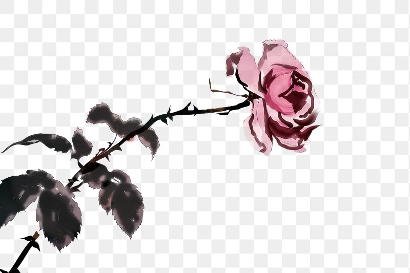 Pink Calligraphy PNG Images | Free Photos, PNG Stickers, Wallpapers ...