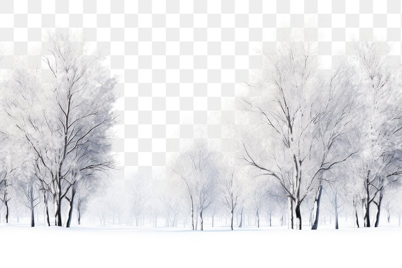 Winter trees border landscape outdoors | Premium PNG - rawpixel