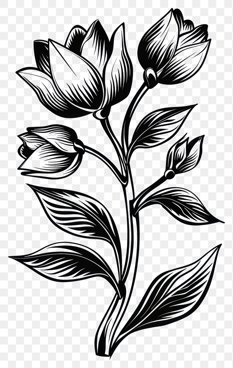 Flower Black And White Design PNG Images | Free Photos, PNG Stickers ...