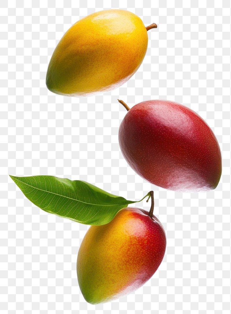 Mango Transparent PNG Images | Free Photos, PNG Stickers, Wallpapers ...
