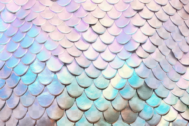Mermaid Texture Images | Free Photos, PNG Stickers, Wallpapers ...
