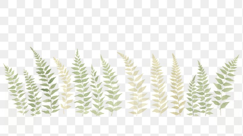 Green Illustrated Vine PNG Images | Free Photos, PNG Stickers ...