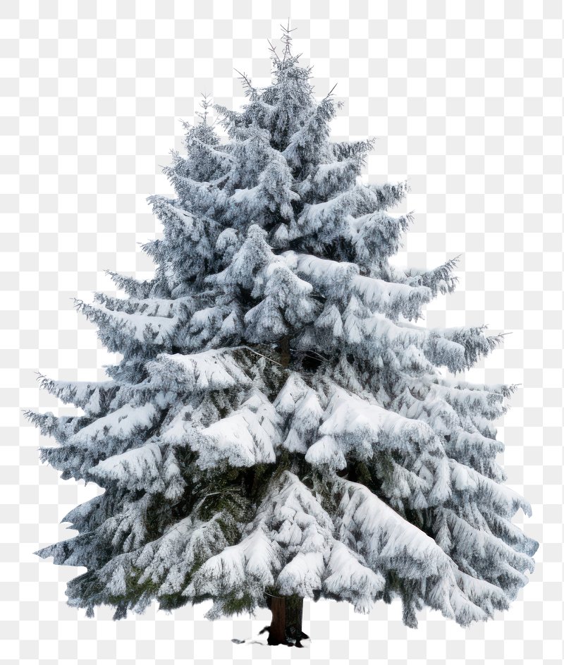 Freeze PNG Images | Free Photos, PNG Stickers, Wallpapers & Backgrounds ...